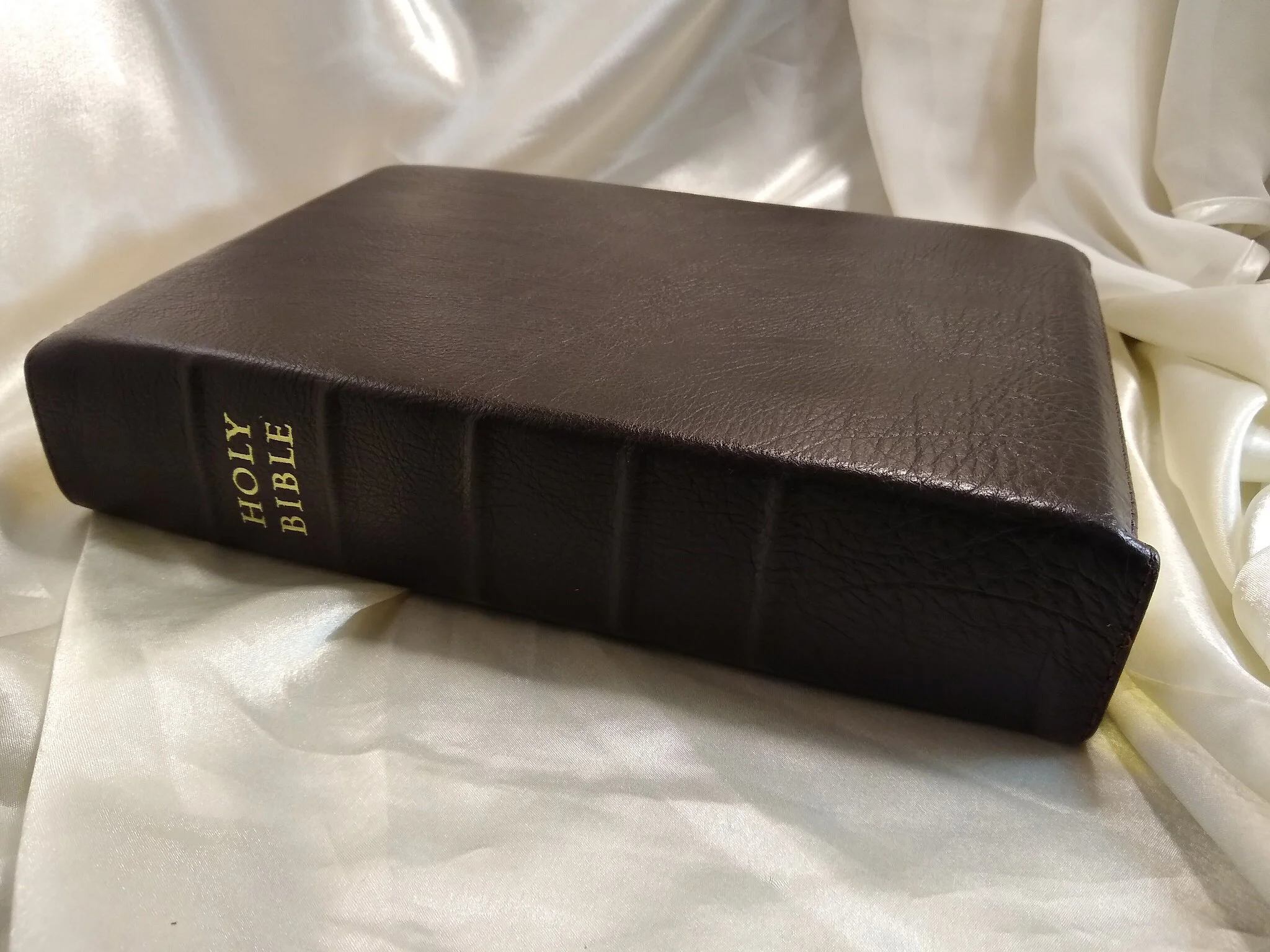 Leather Bibles Online