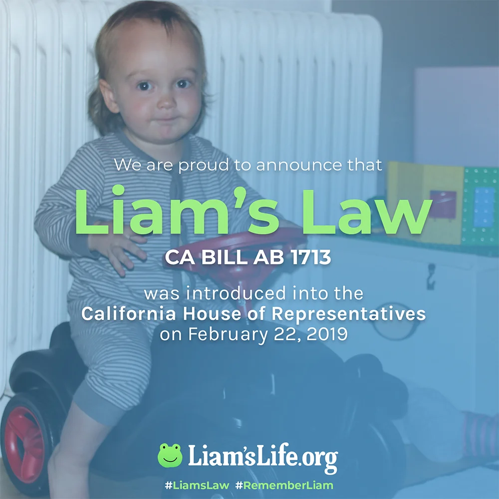 Liam's Life Foundation