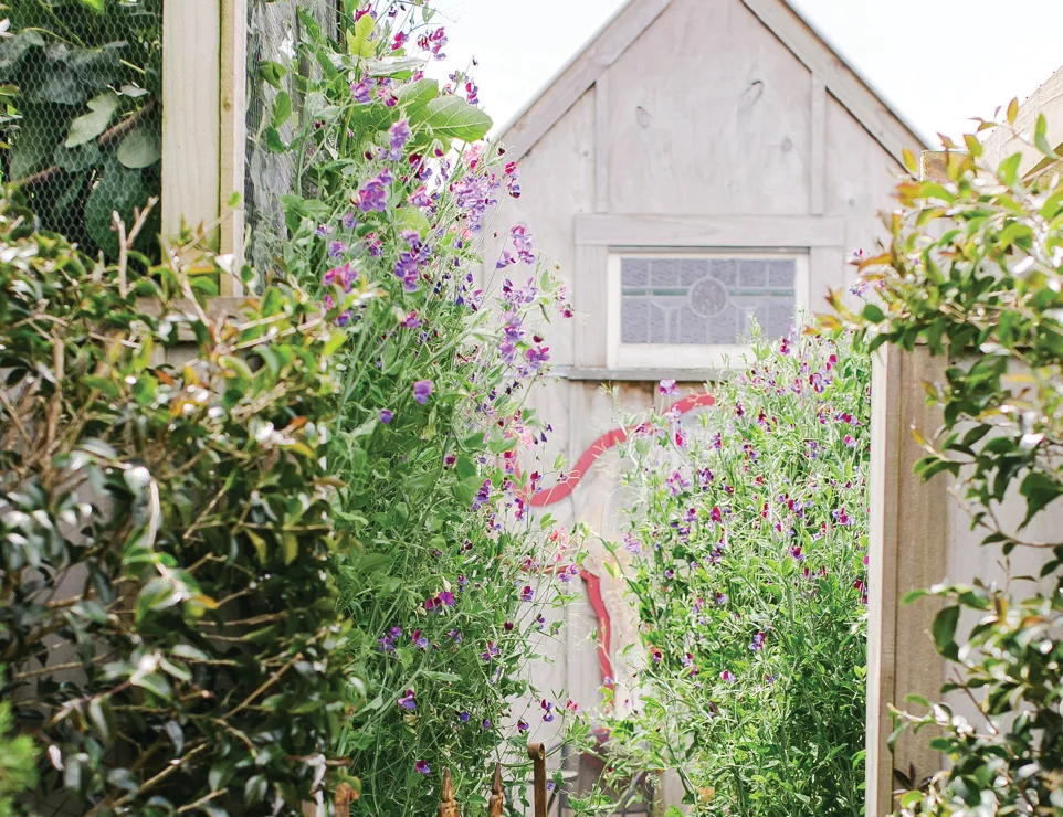 Plum Meadows – Wedding Venue, Gardens, Functions.