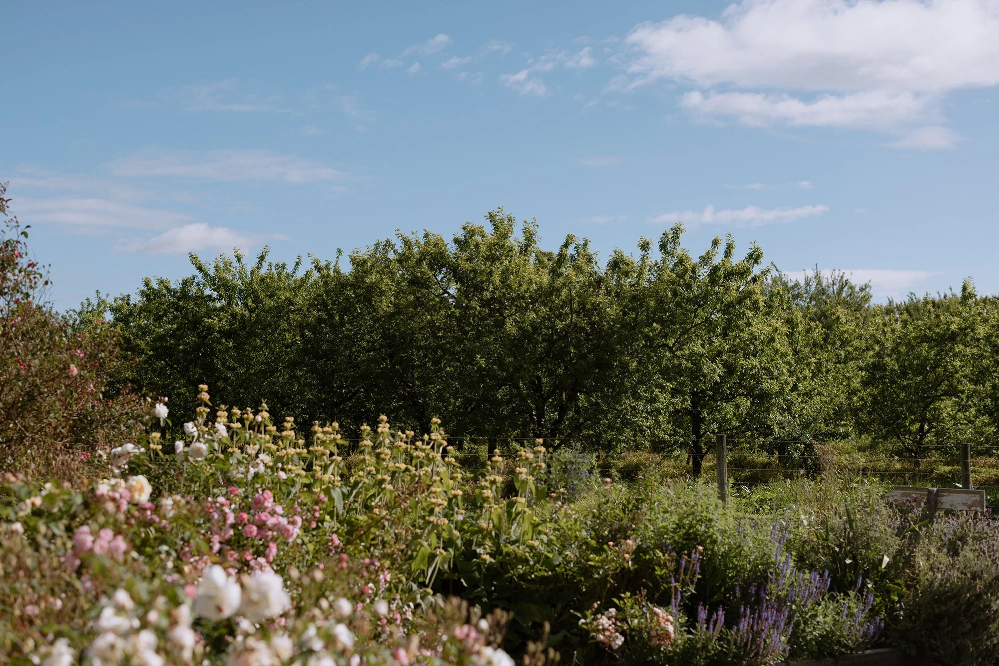 Plum Meadows – Wedding Venue, Gardens, Functions.