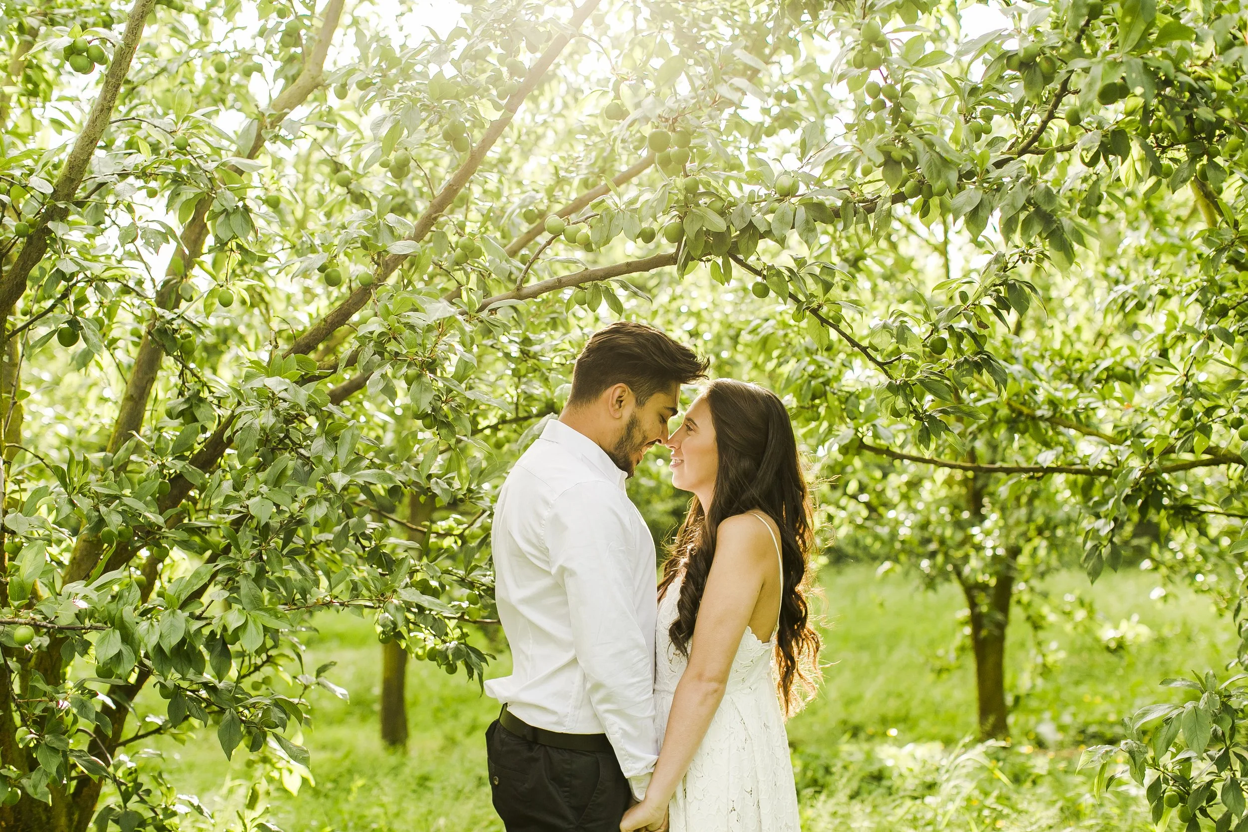 Plum Meadows – Wedding Venue, Gardens, Functions.