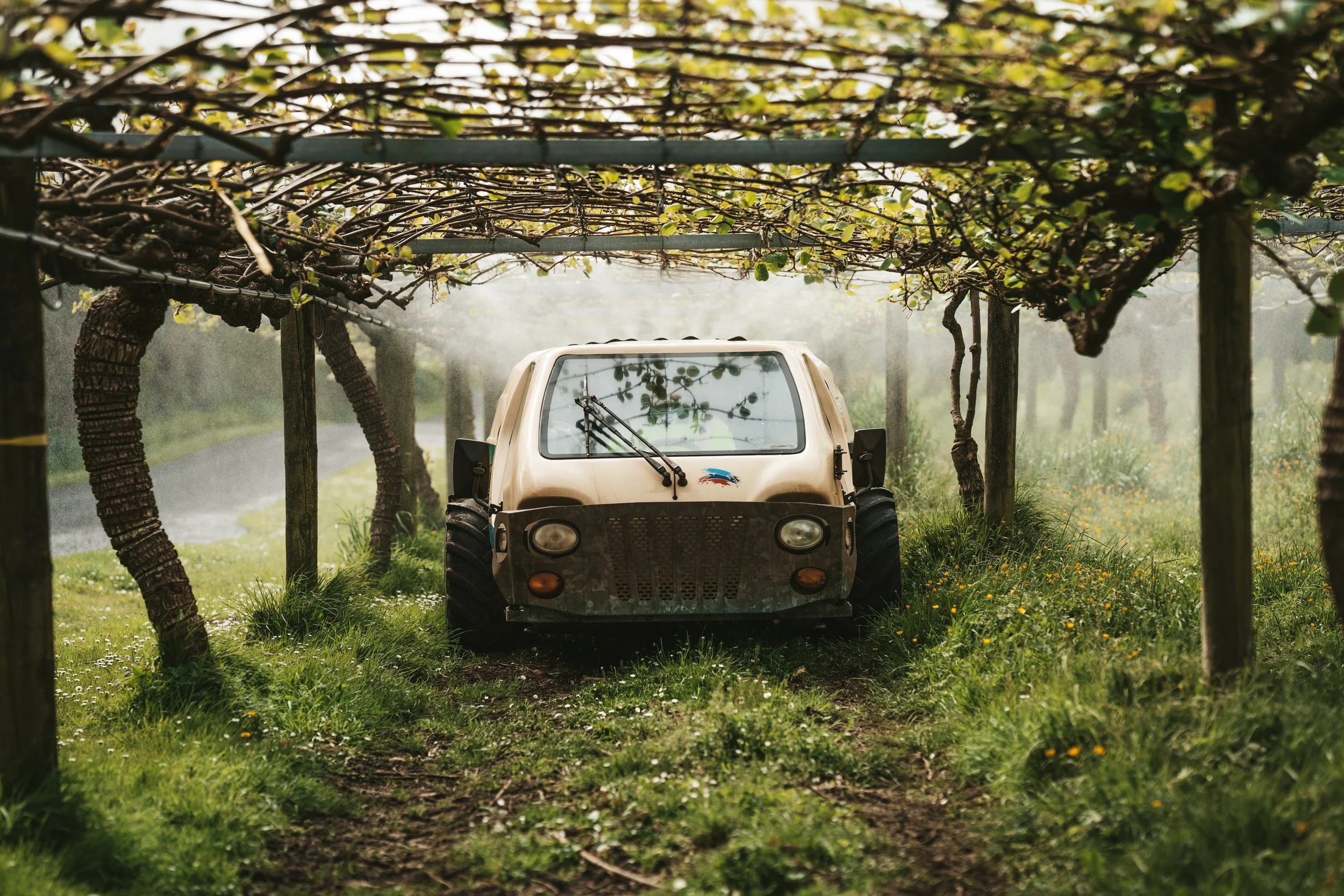 Oropi Management Services LTD - Kiwifruit Orchard Management