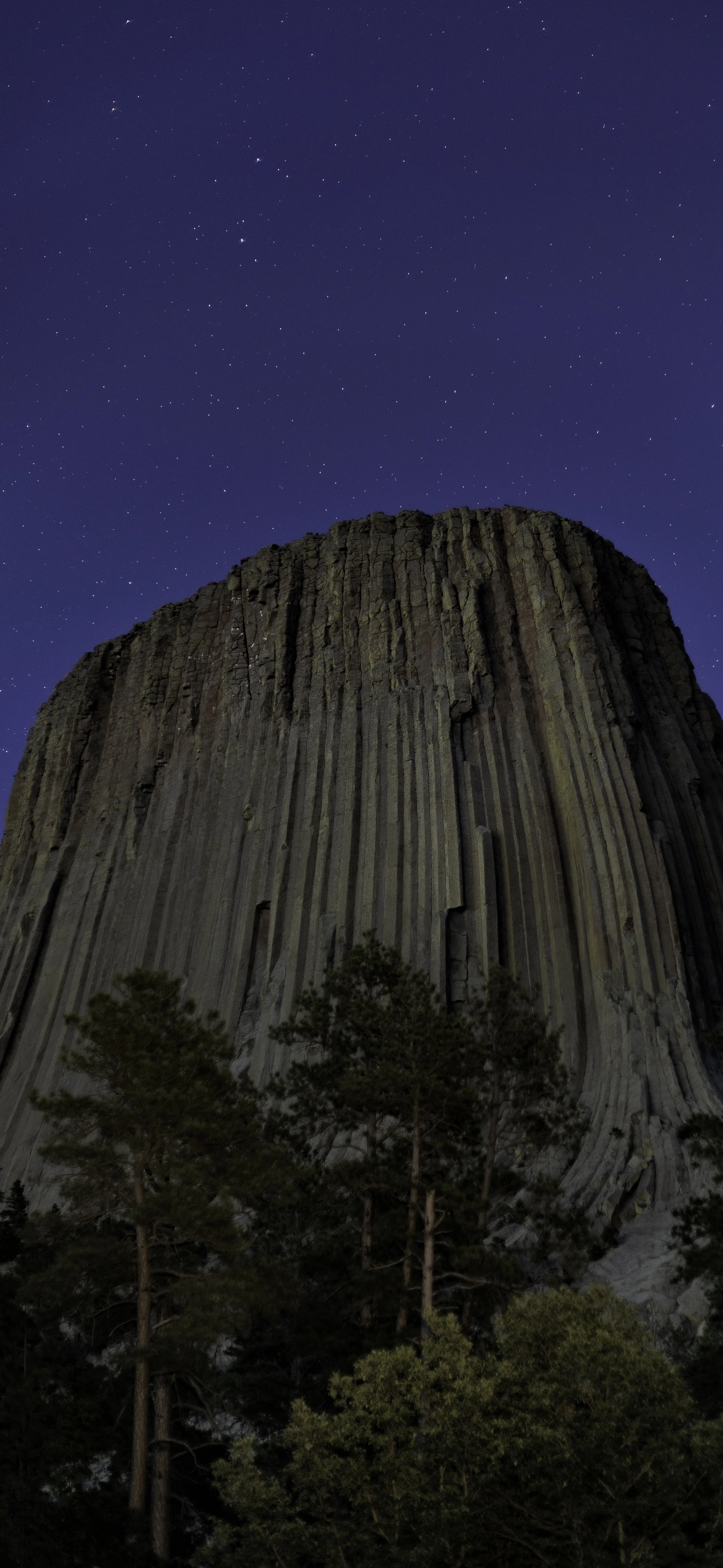 Stars Above Devil's Tower — Melanie LeDuc Photography