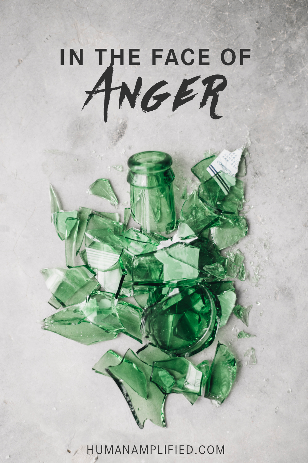 In the Face of Anger - A Story of Acceptance and Recovery — Human Amplified