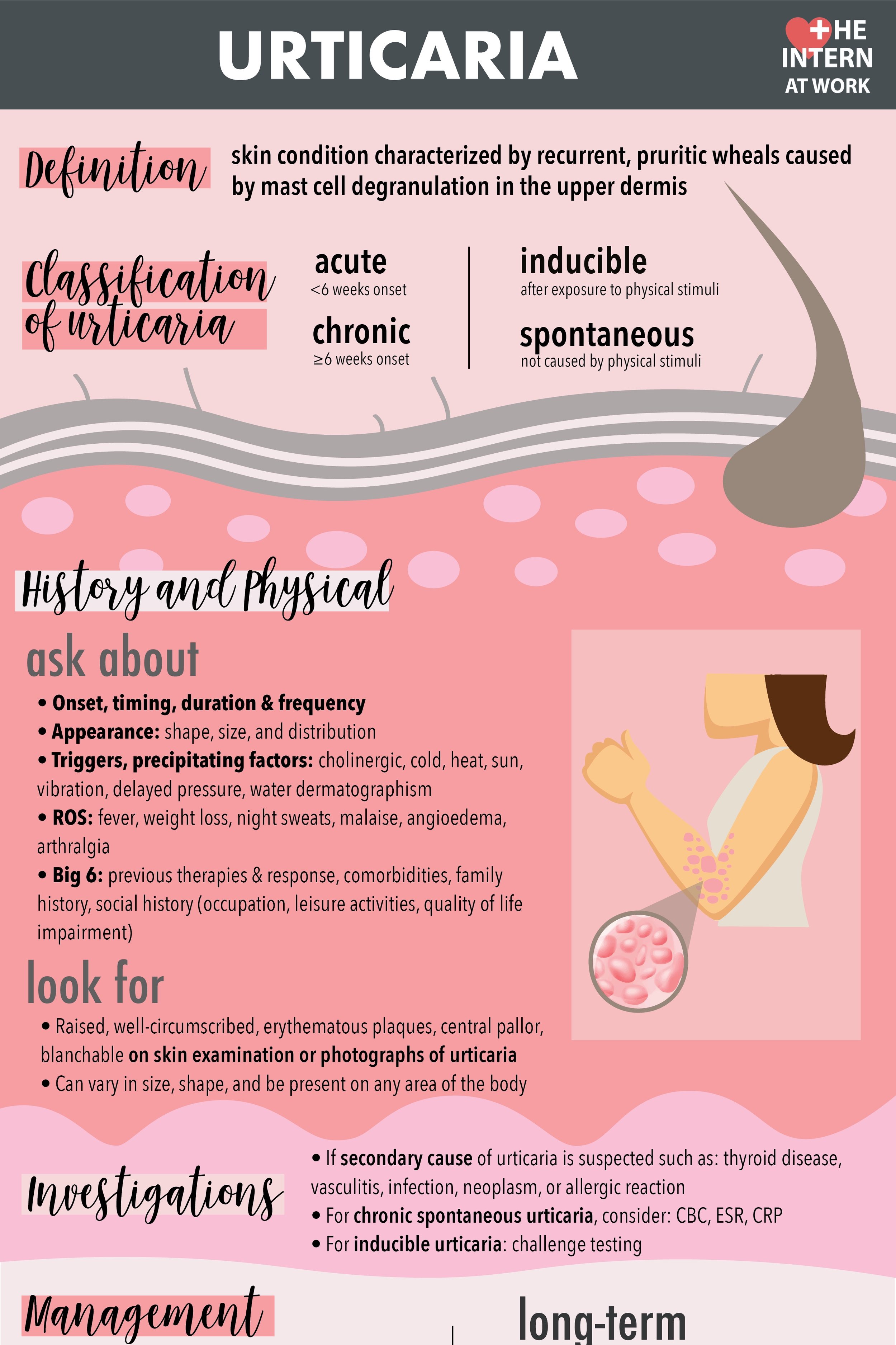 Infographics — The Intern at Work