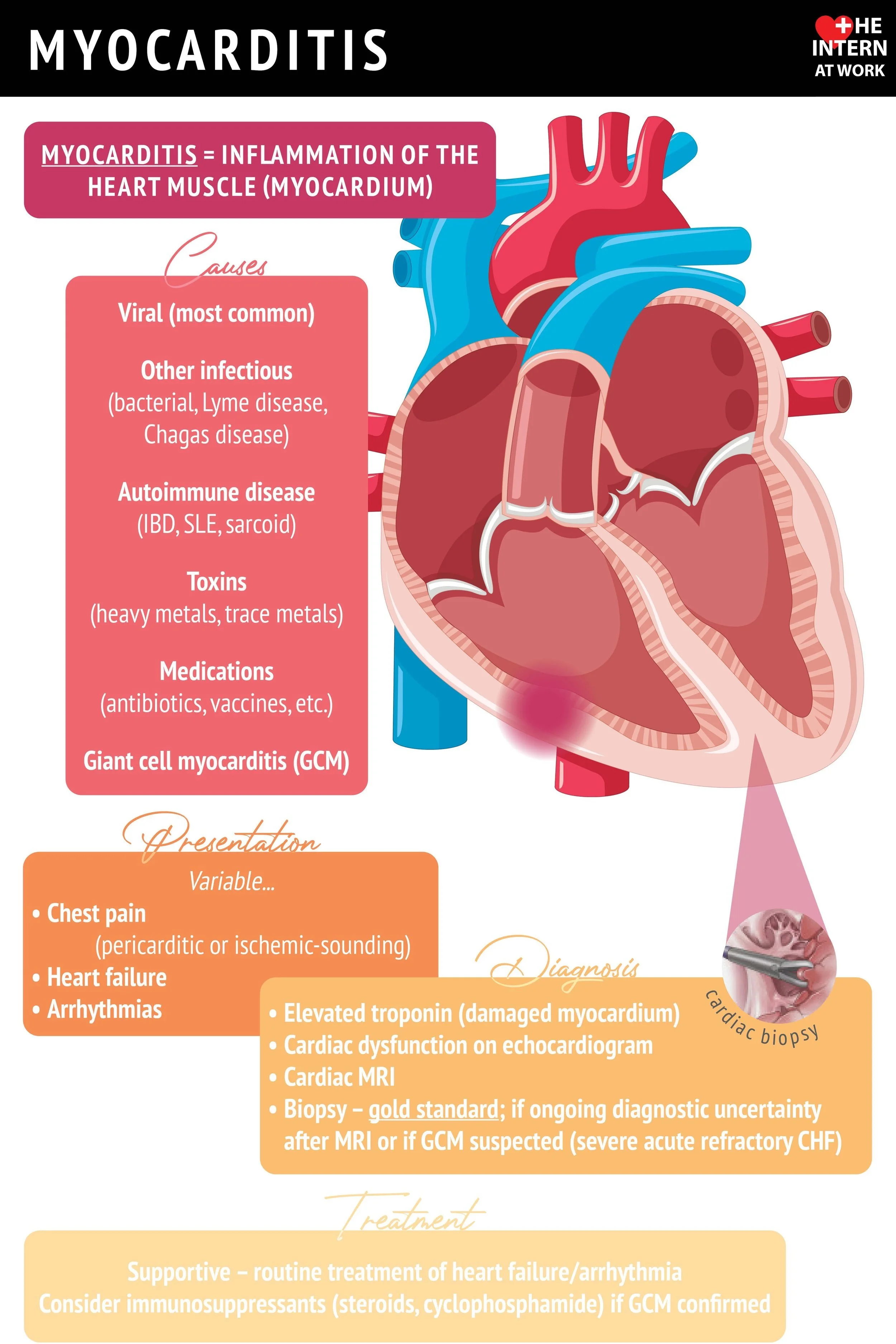 Infographics — The Intern at Work