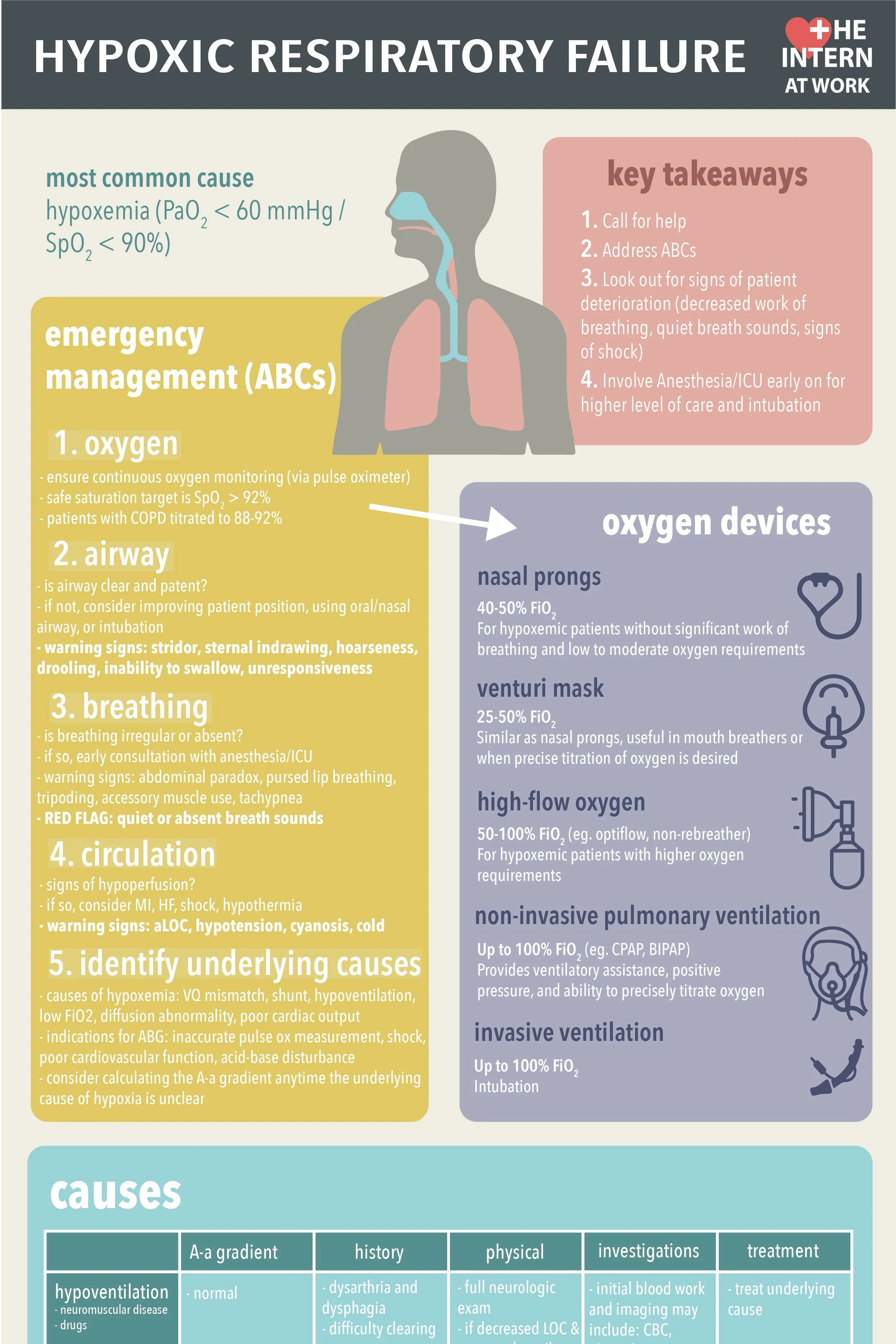 Infographics The Intern At Work