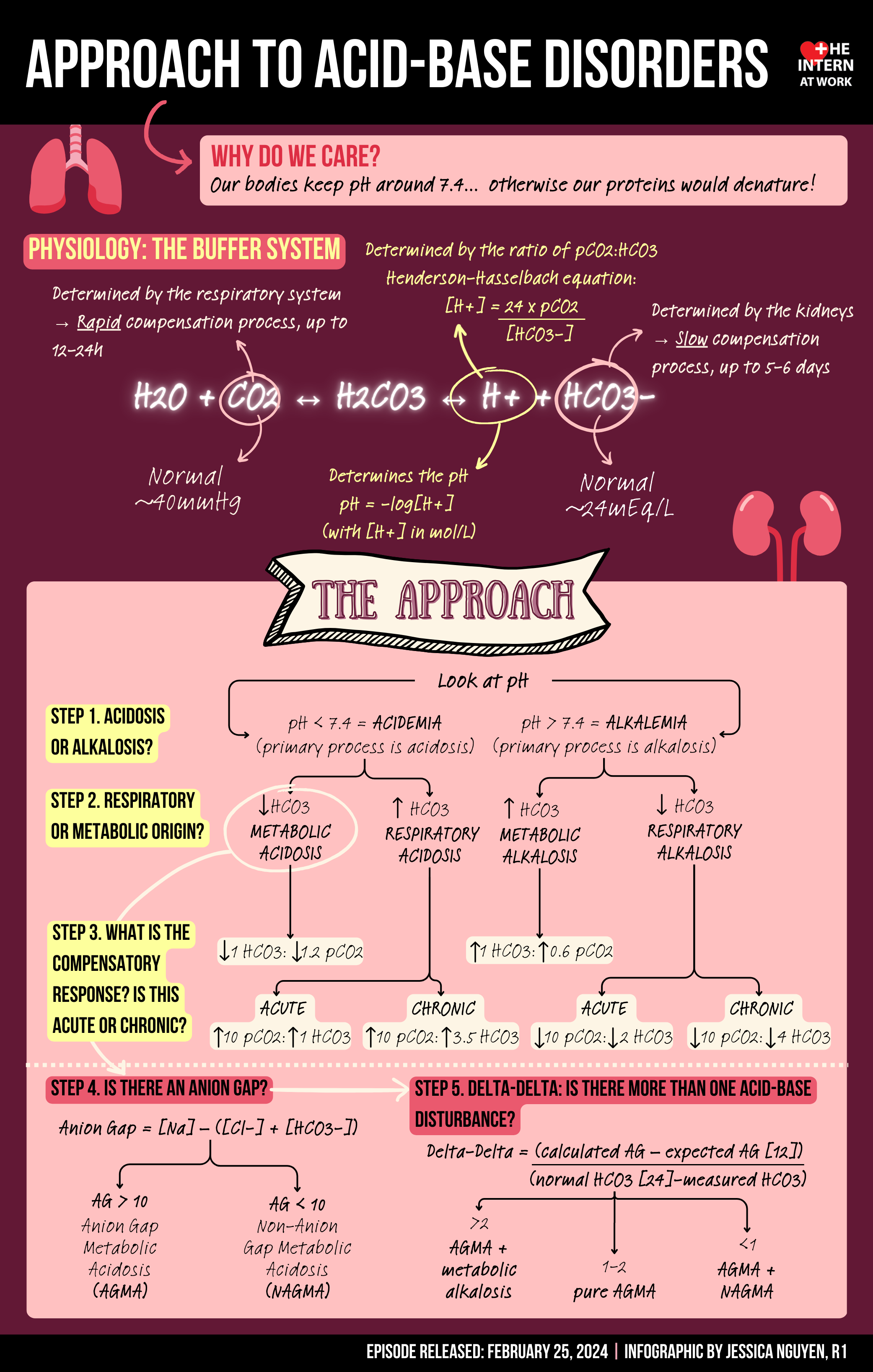 Acid-Base Disorders — The Intern at Work