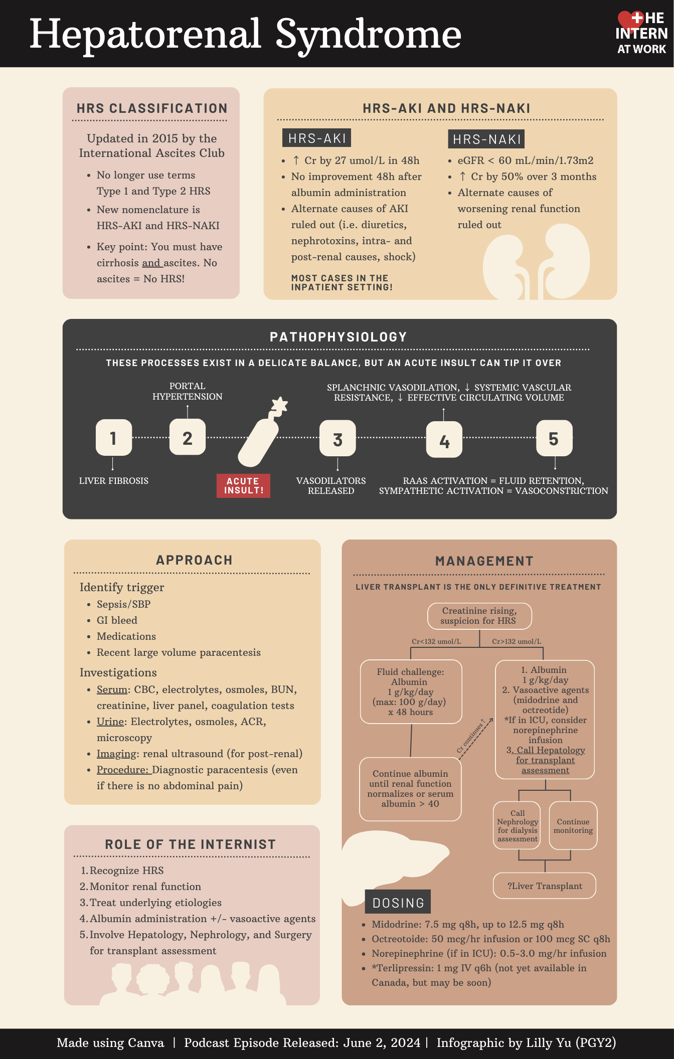 Hepatorenal Syndrome — The Intern at Work