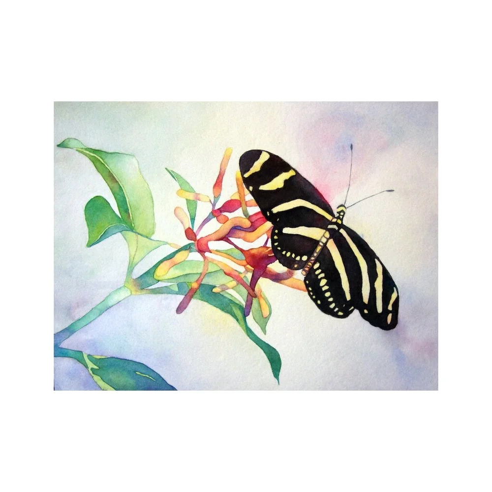 Zebra Longwing Butterfly Drawing