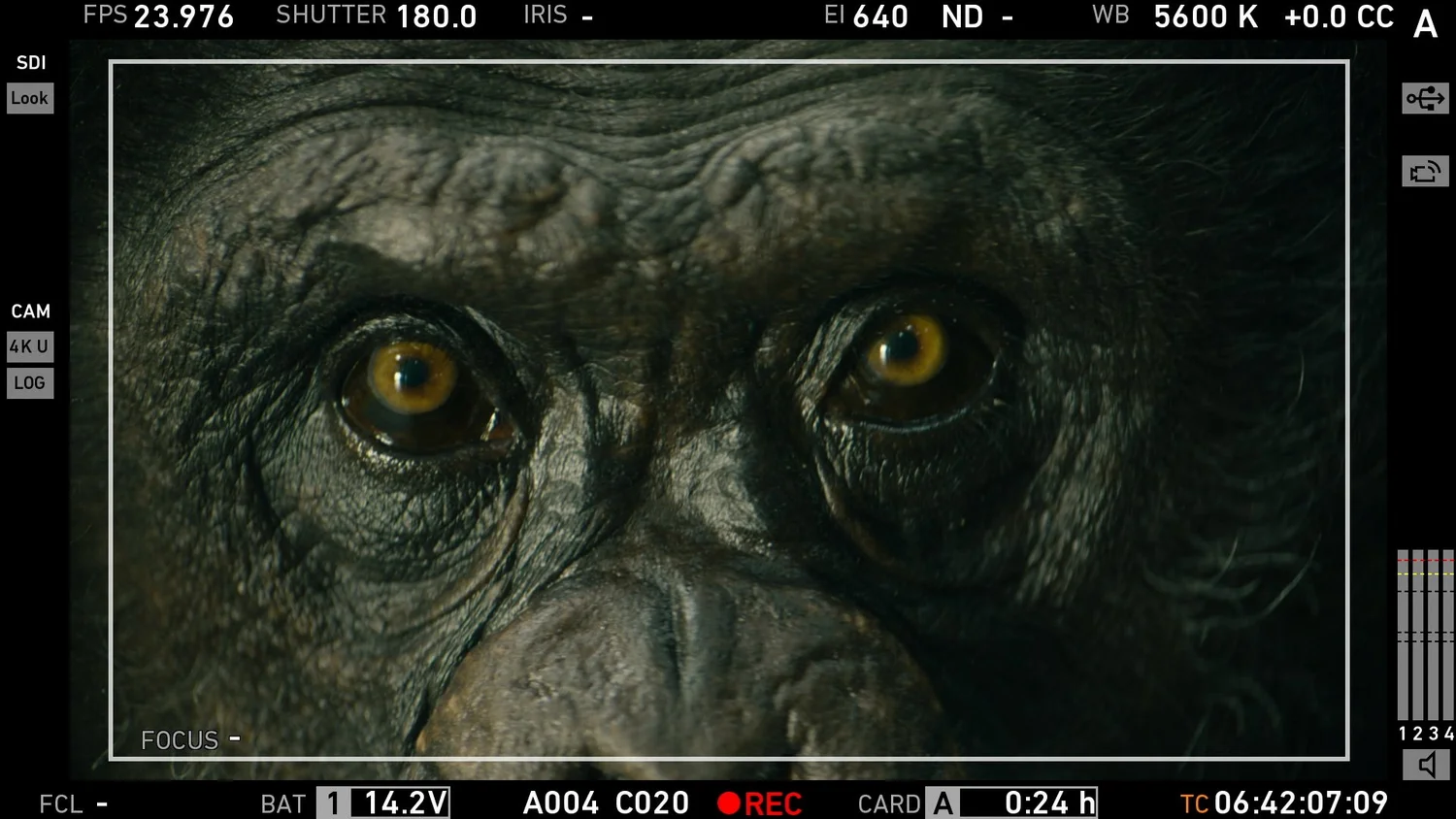 Set Photos — Tim Jacks | 1st Assistant Camera (AC) in Indianapolis