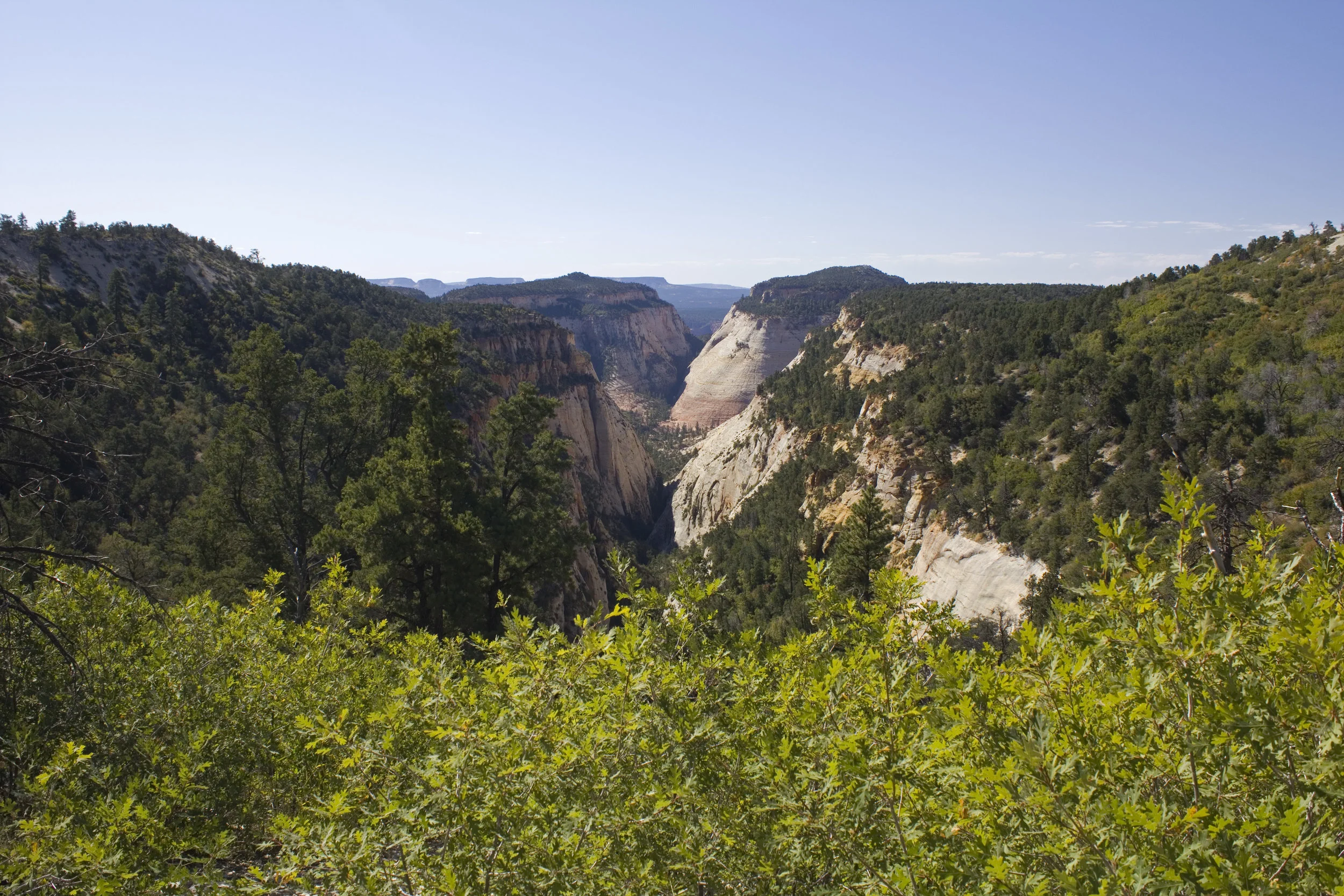 East Rim Trail — Zion Cabin Retreat (The Bailey Cabin)
