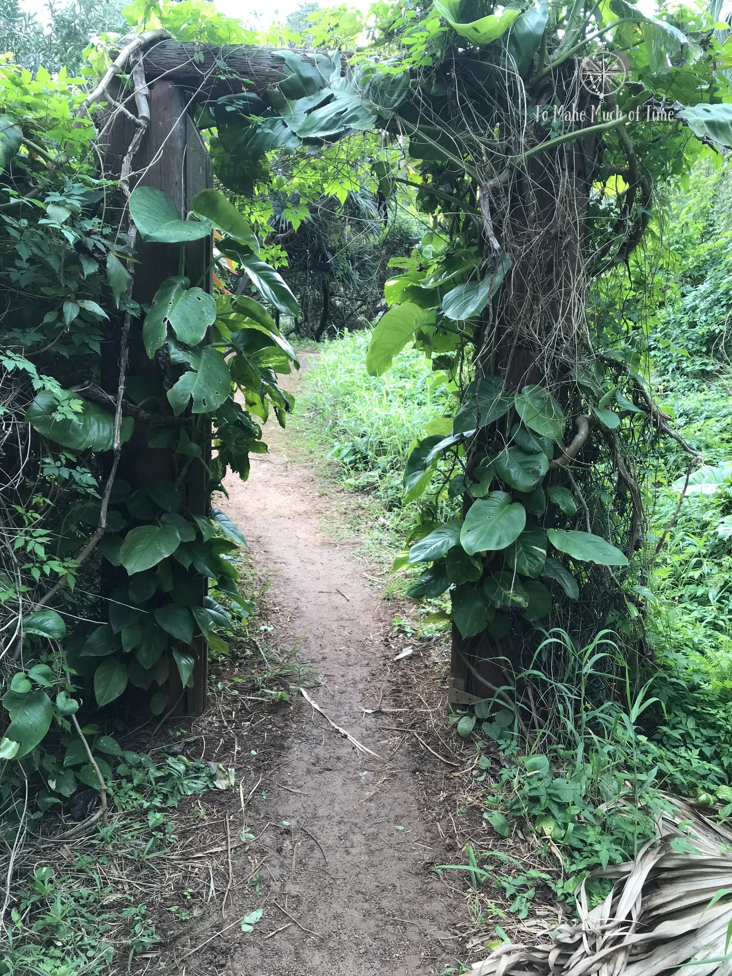 Book Review of I, Tituba, Black Witch of Salem by Maryse Conde — To ...