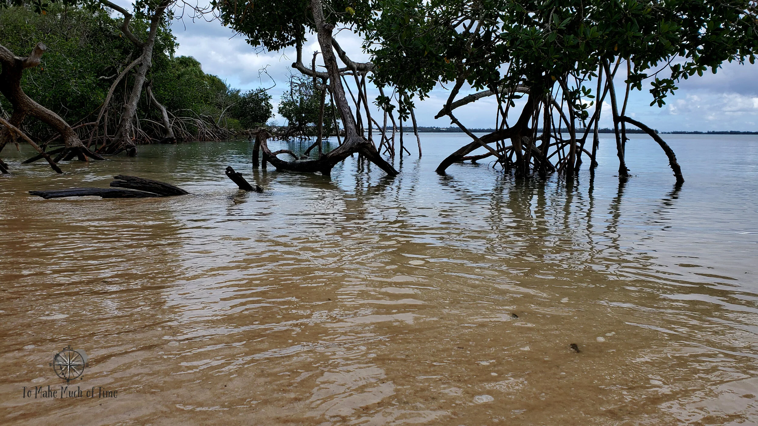 Book Review of I, Tituba, Black Witch of Salem by Maryse Conde — To ...