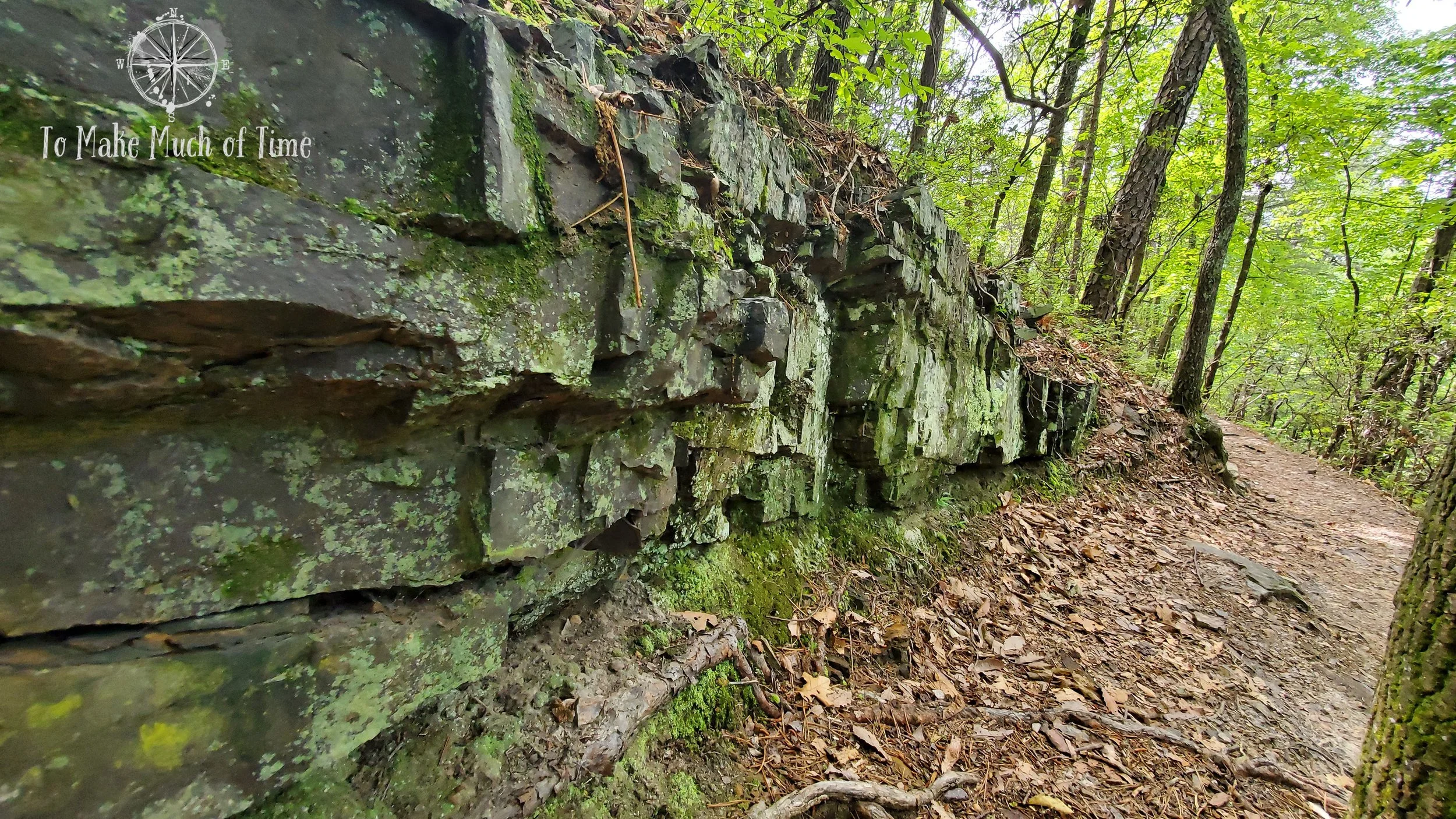Hiking Read Mountain Preserve in Southwestern Virginia - 3.5 Mile Loop ...