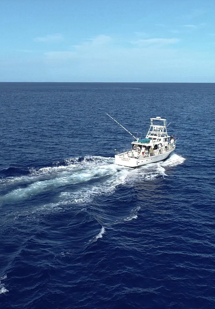 Contact Us — Strike Zone Maui