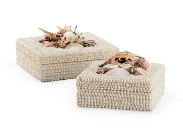 SHE SELLS SEASHELLS...NOT ALWAYS BY THE SEASHORE — SCW Interiors