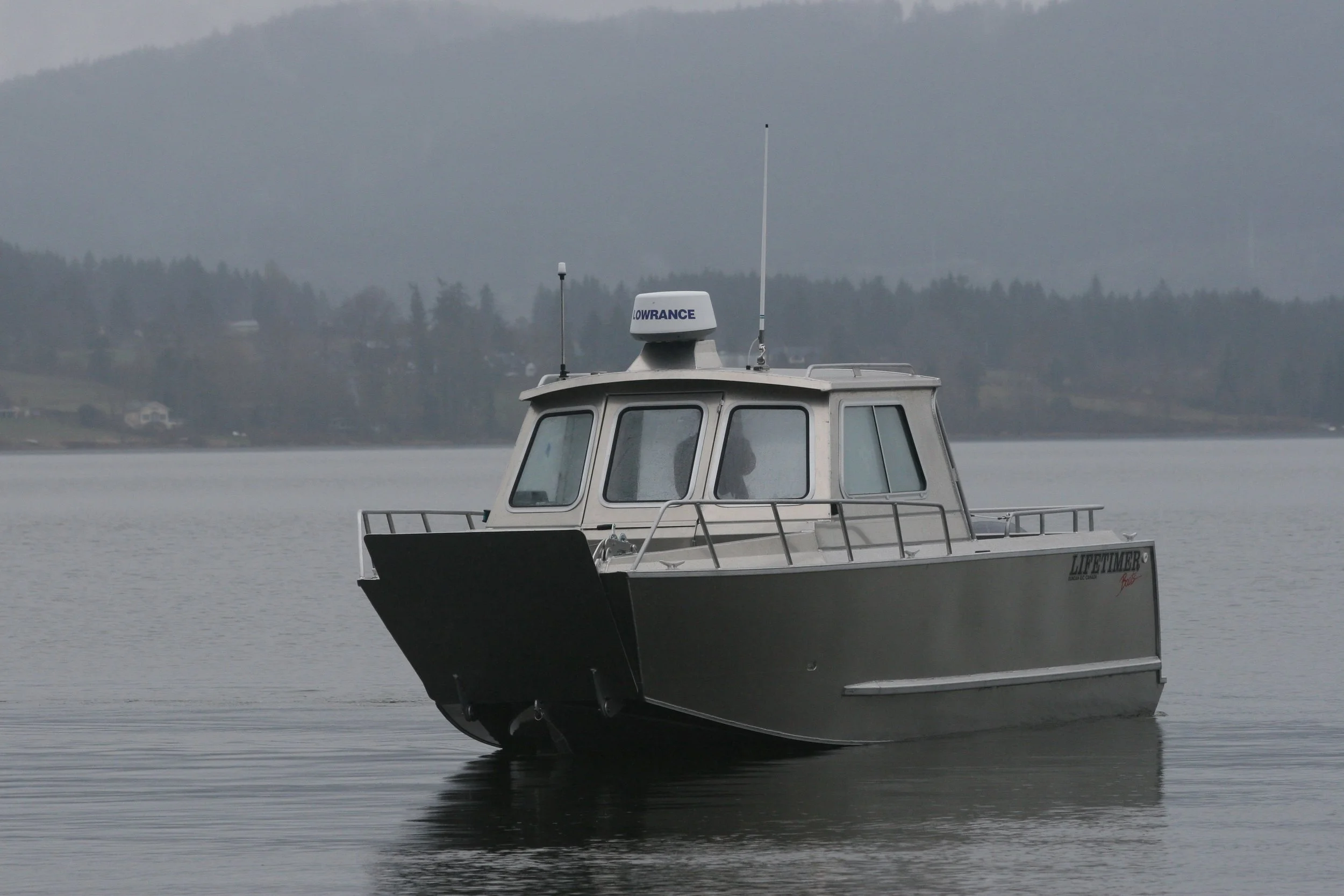Hammer head — Lifetimer Boats