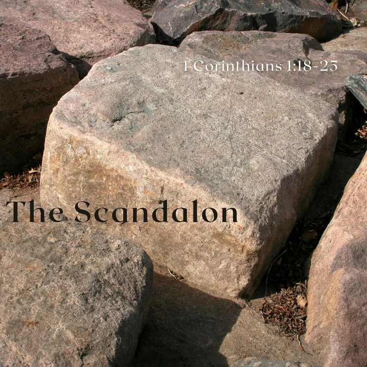 Apr 09, 2024 | The Scandalon (Part B) — The Journey
