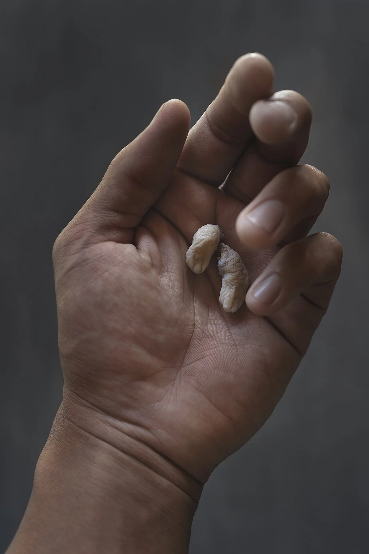 Arjuna's Fingers — Chris Manfield