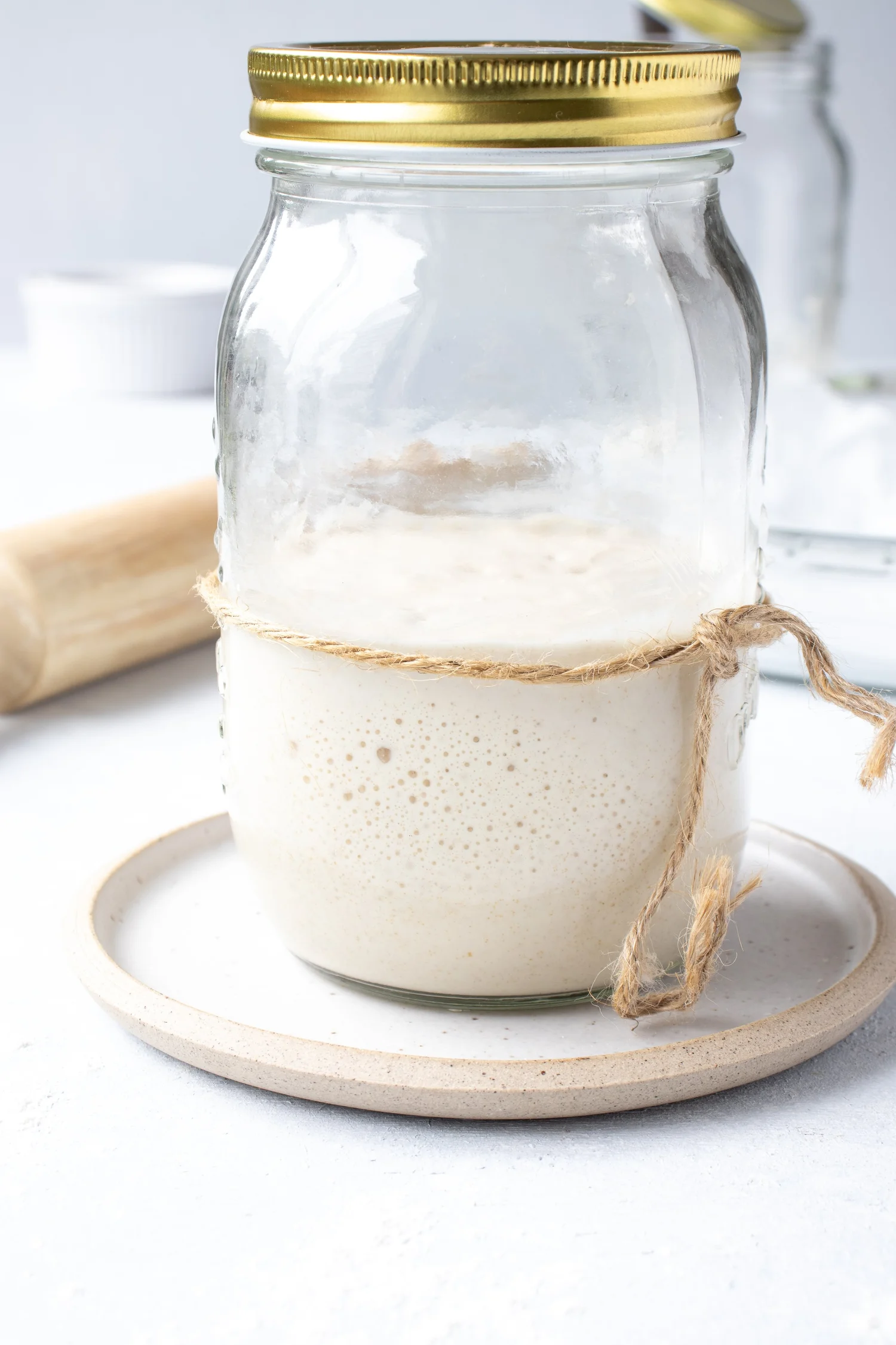 Easy Homemade Sourdough Starter — Stripes & Willows