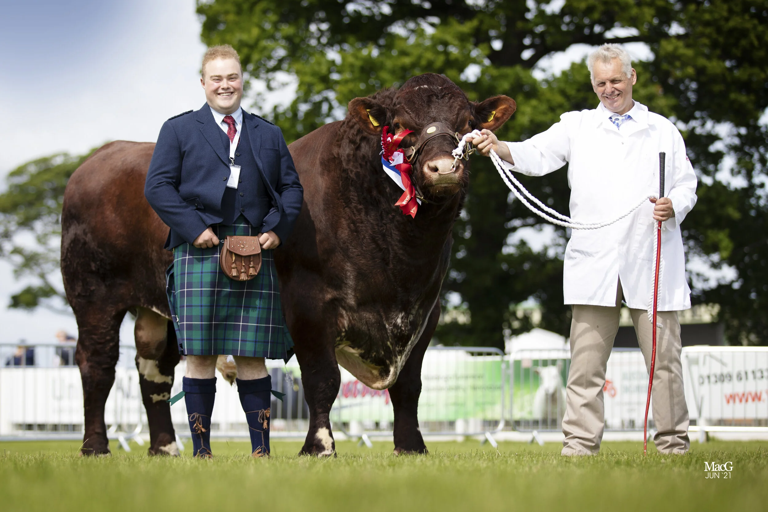 Show Results — The Beef Shorthorn Cattle Society