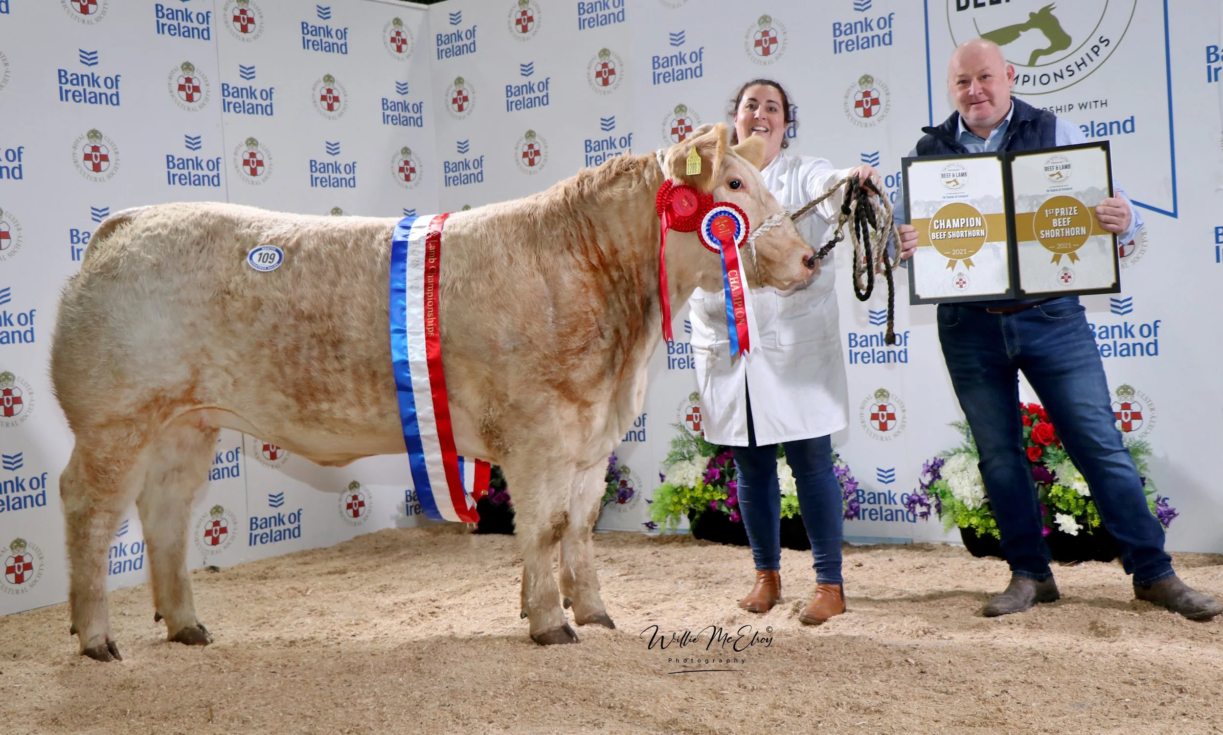 Show Results — The Beef Shorthorn Cattle Society