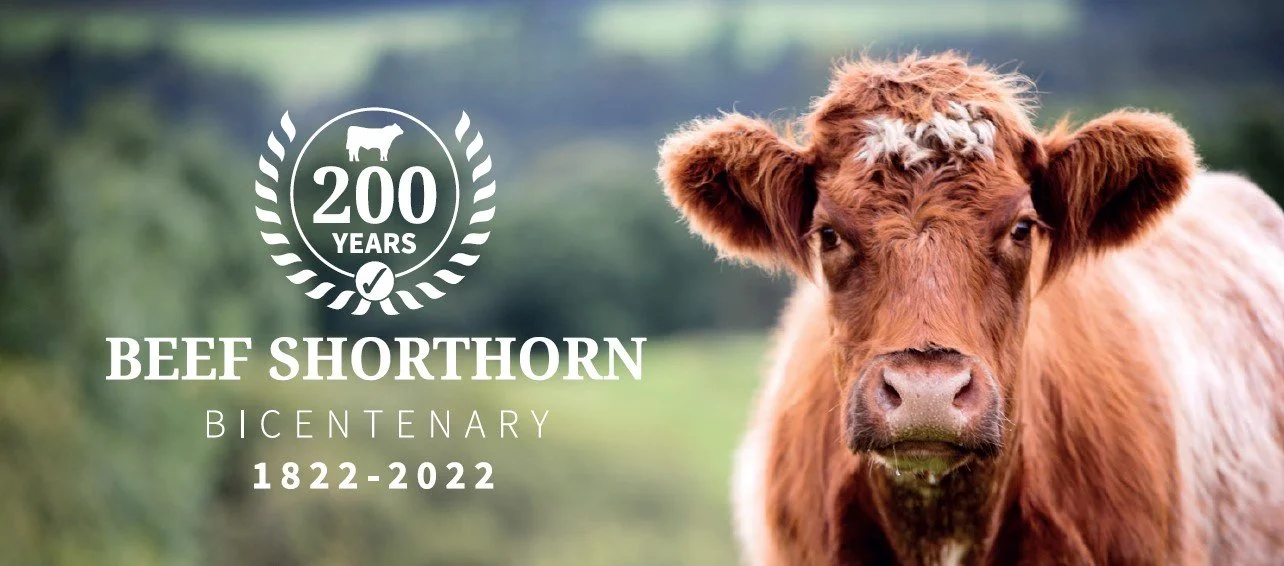The Beef Shorthorn Cattle Society