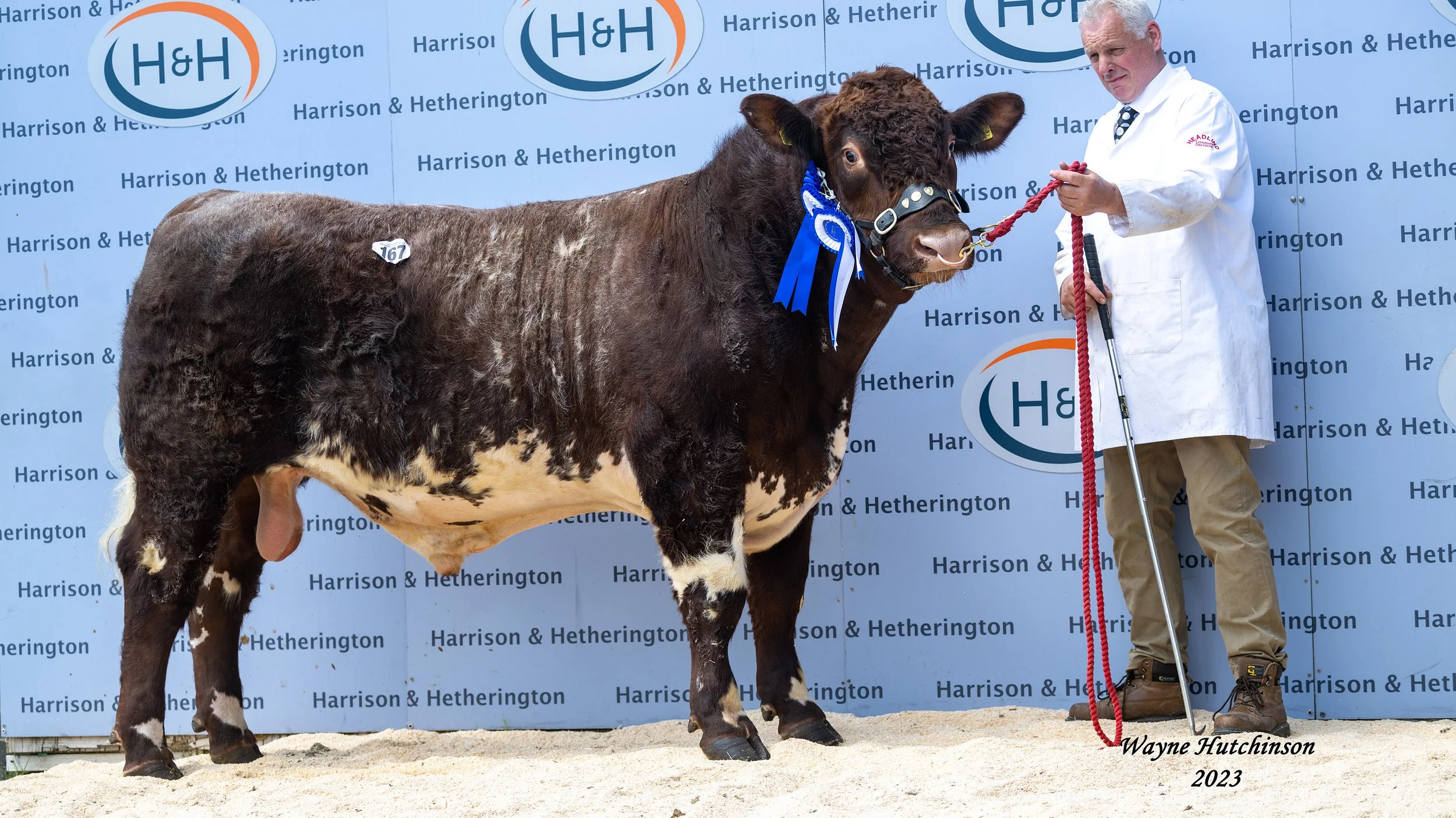 The Beef Shorthorn Cattle Society