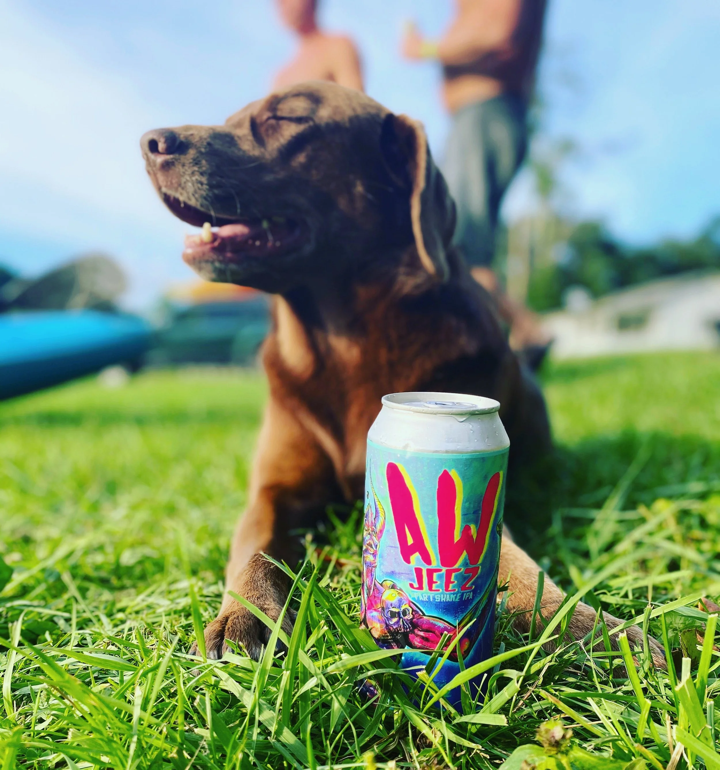HIGH GROUND BREWING — Welcome to HGB