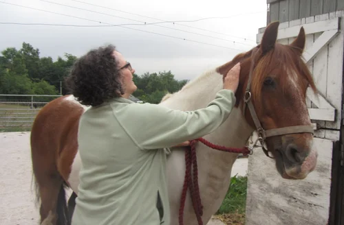 Well Balanced Animals - Vet Physios
