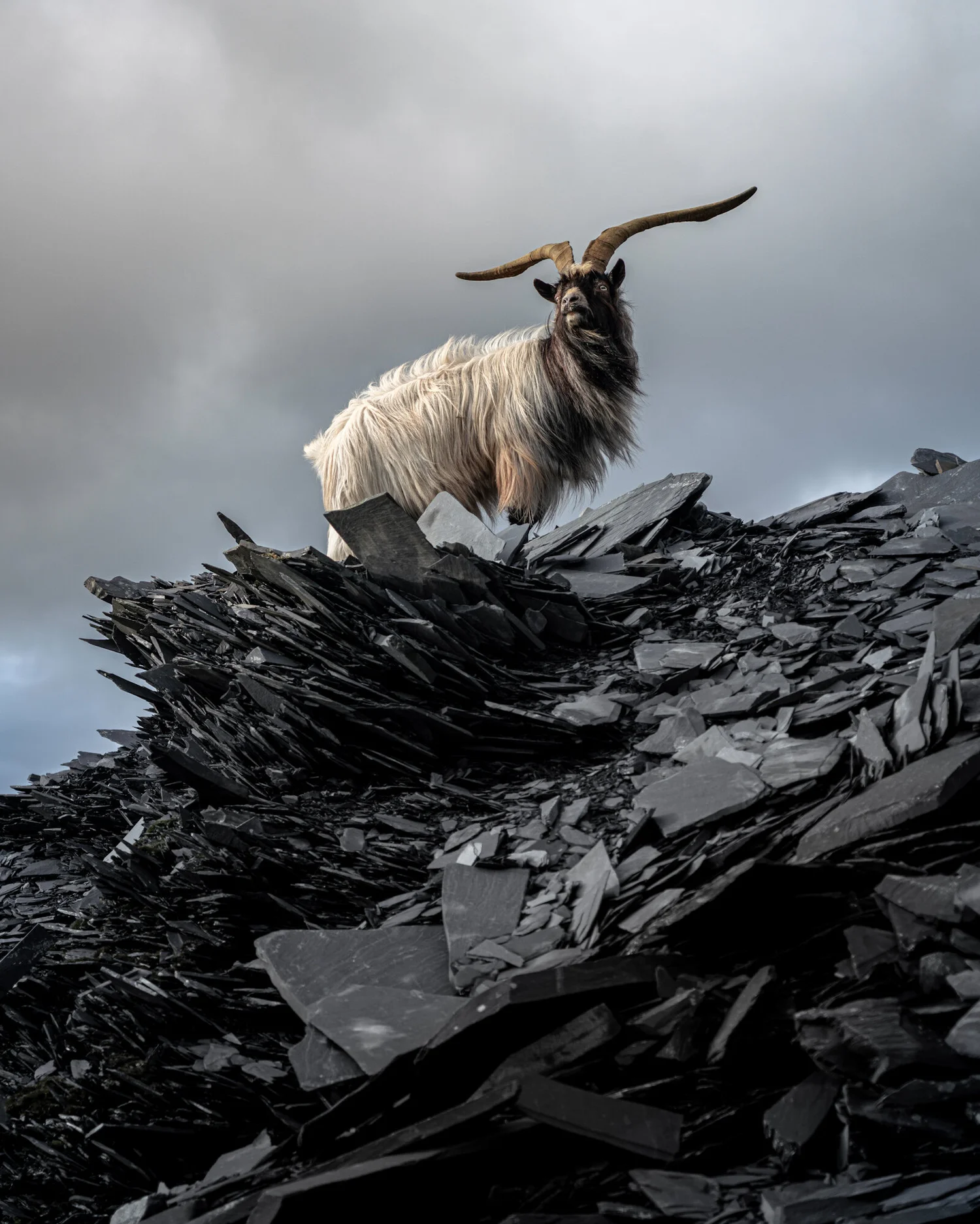 Textures — Slow Photography Movement