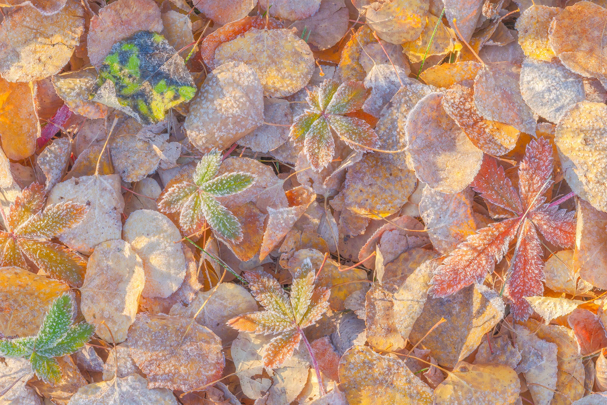 Textures — Slow Photography Movement