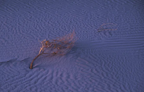 Textures — Slow Photography Movement