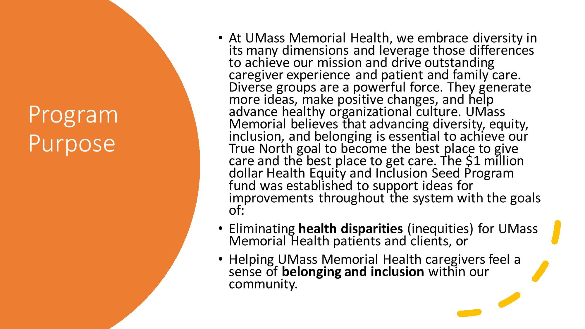 Health Equity & Inclusion Seed Program — SHARE at UMass Memorial