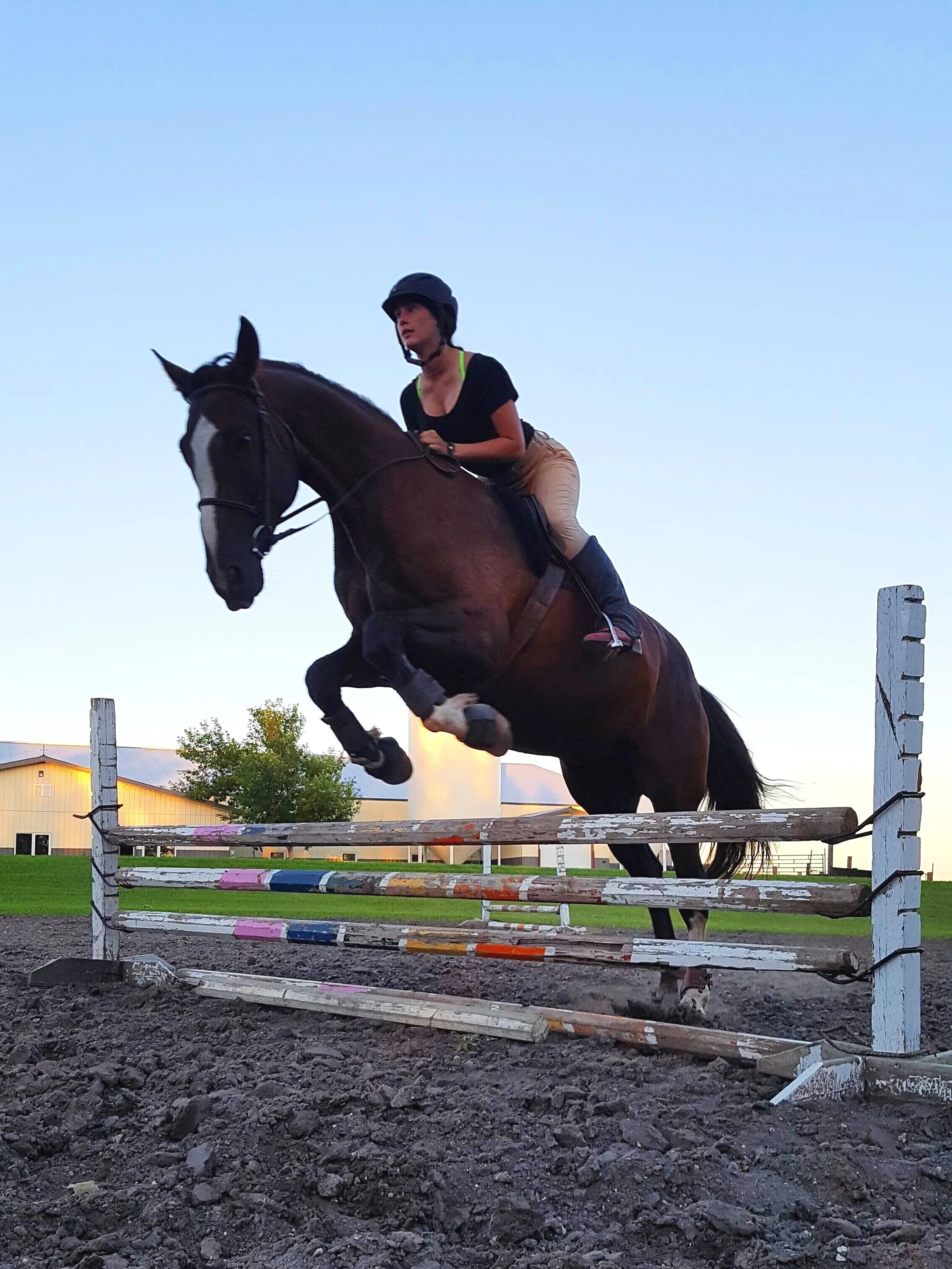 Lucky Seven Ranch