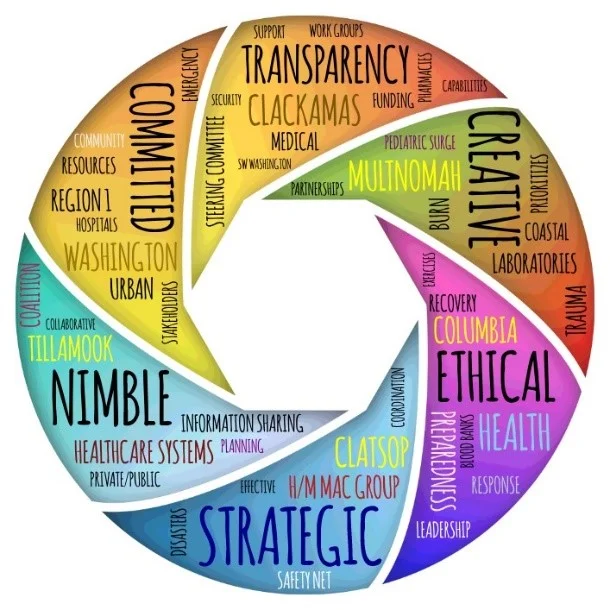 Healthcare System — Regional Disaster Preparedness Organization