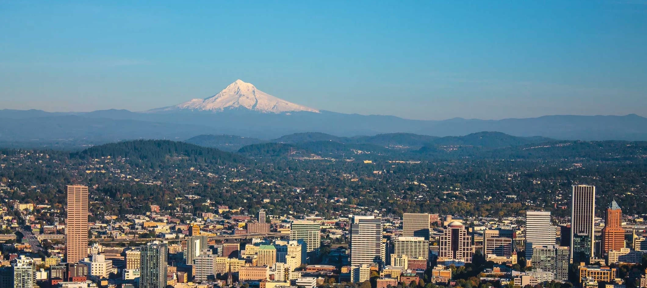 Regional Disaster Preparedness Organization