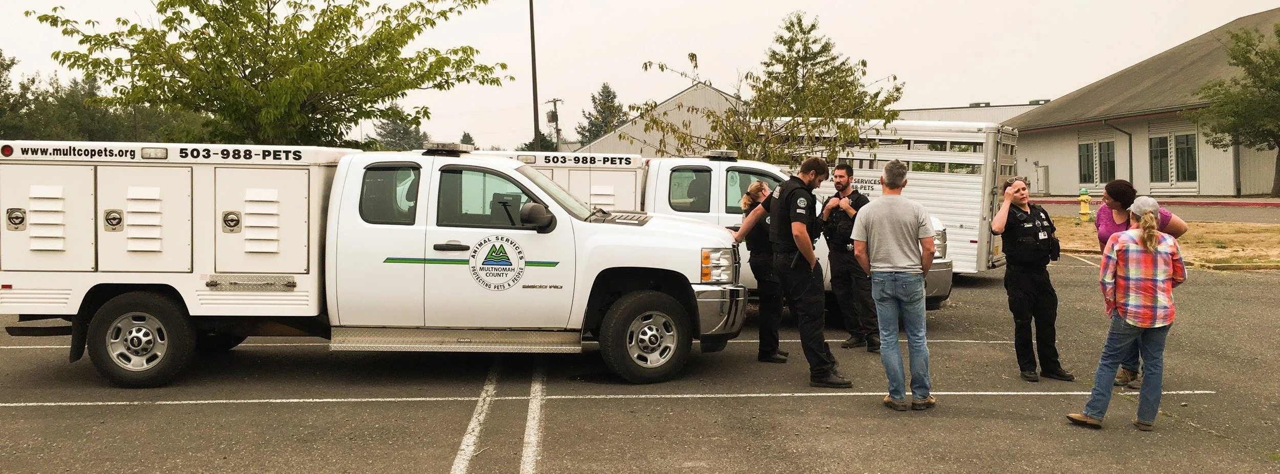 Animal Multi-Agency coordination Group (Animal Mac-G) — Regional ...