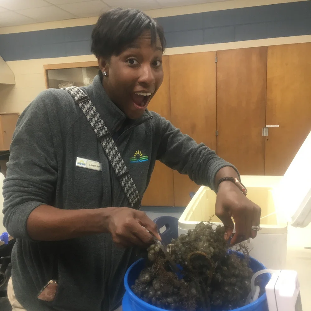Environmental Collaborations for the Next Generation with Lindsay ...