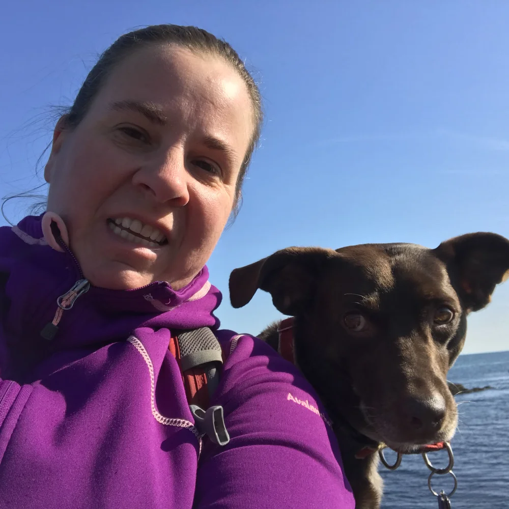2019 Election Results — National Marine Educators Association