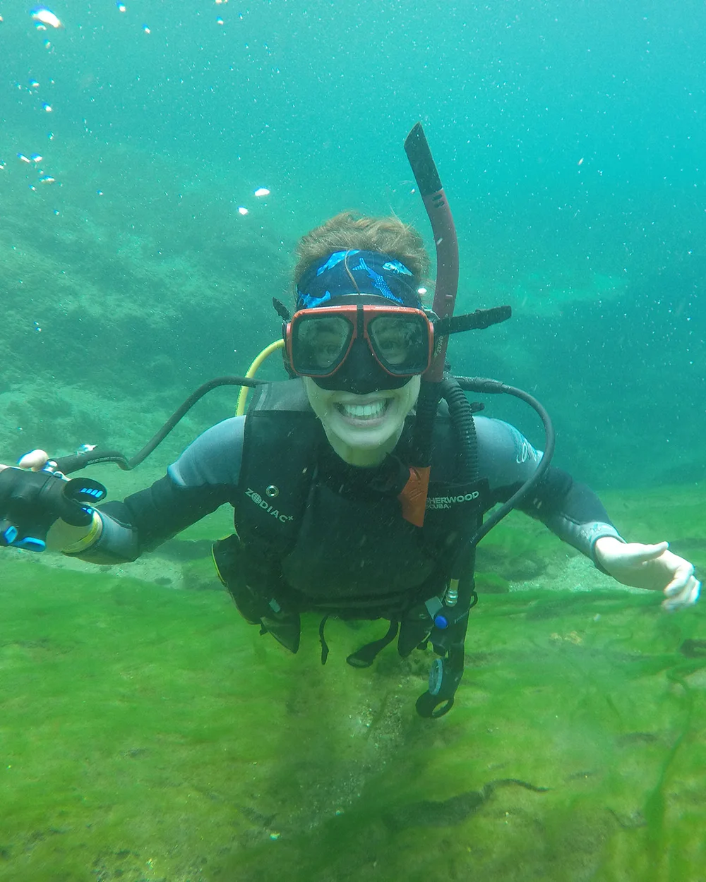 Sharks, Stewardship, and STEM – Lessons with Lindsay Laughner ...