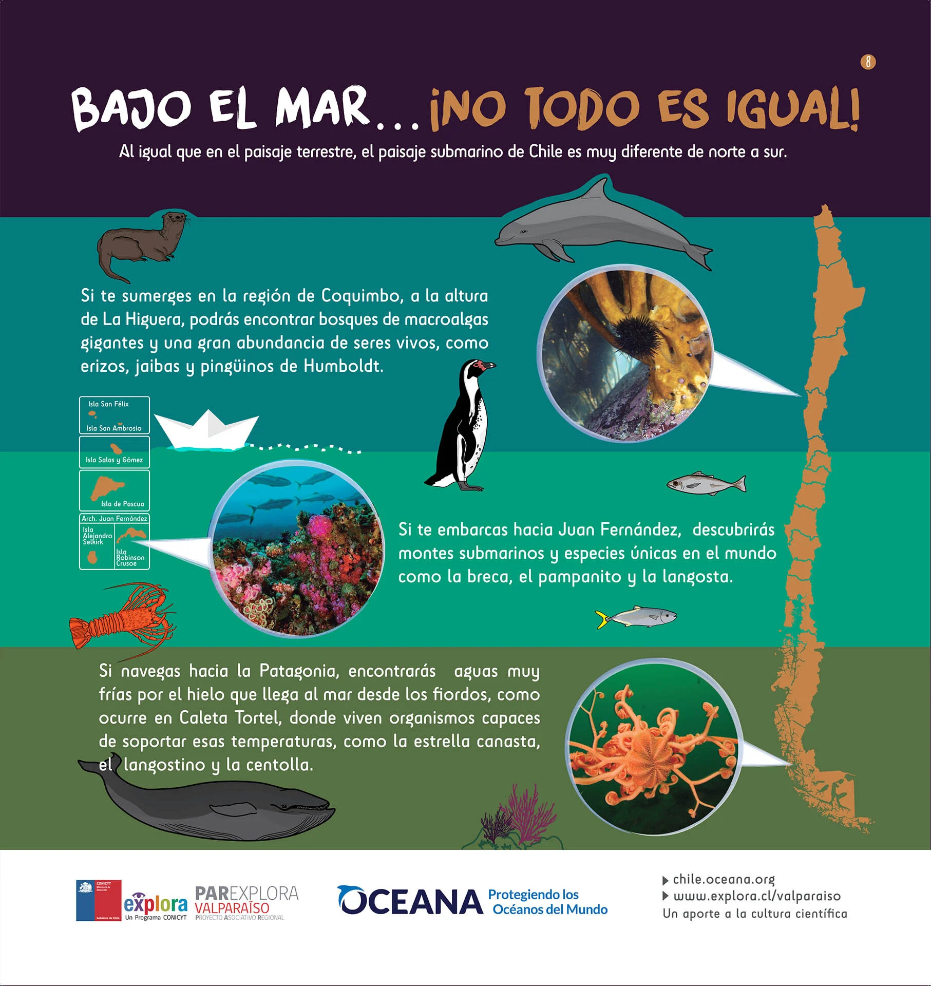 Ocean Literacy—Spanish — National Marine Educators Association