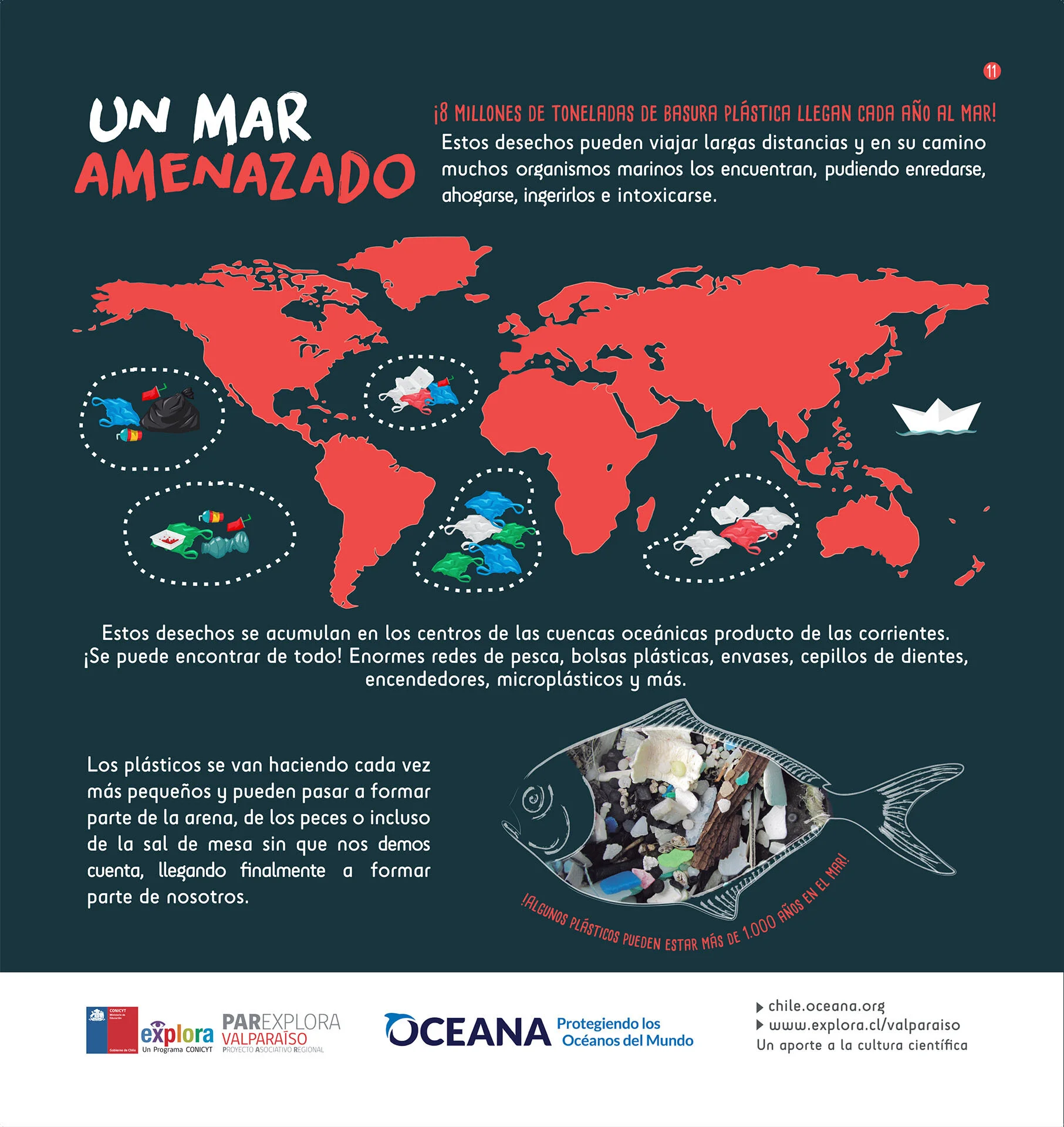 Ocean Literacy—Spanish — National Marine Educators Association