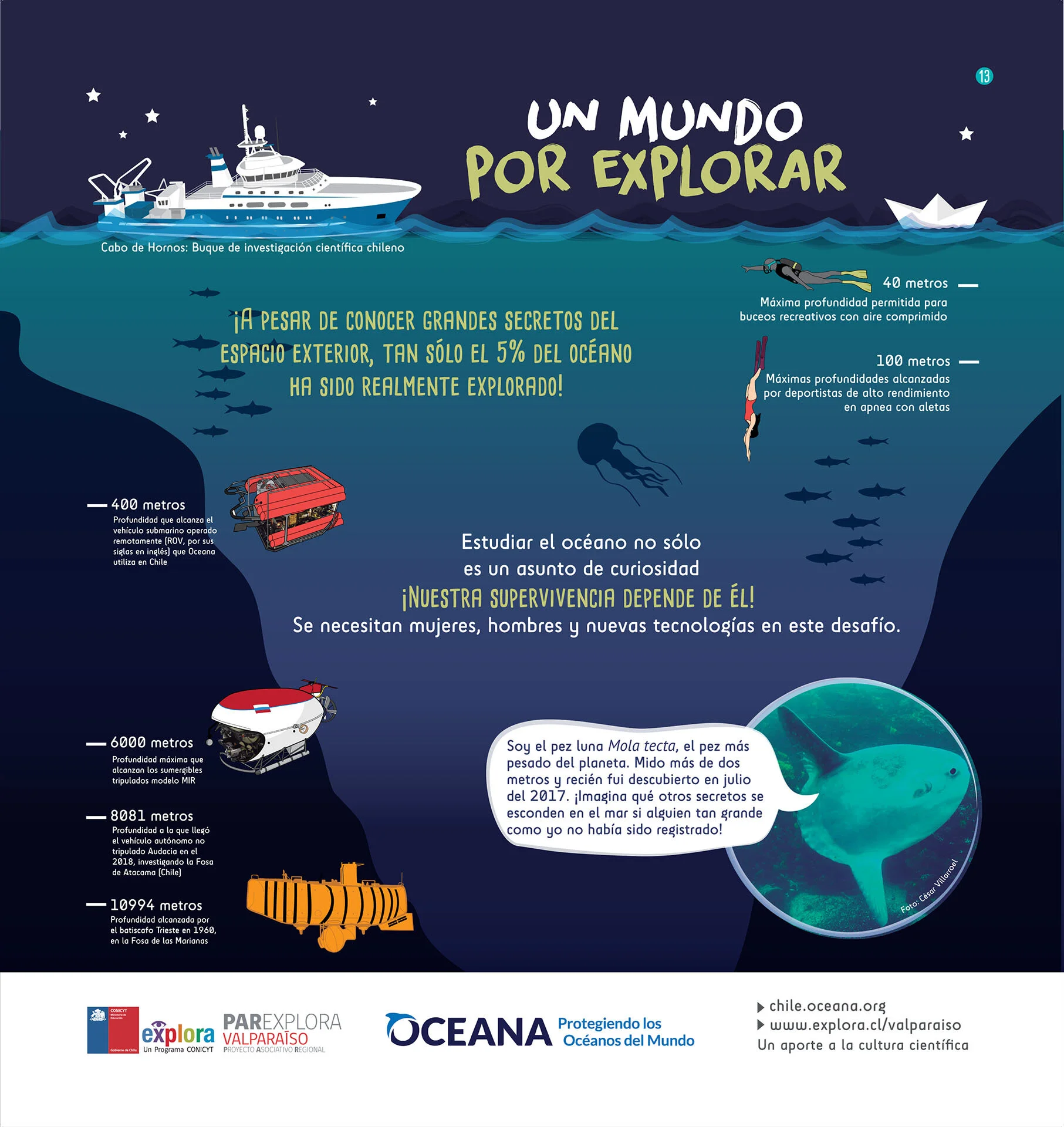 Ocean Literacy—Spanish — National Marine Educators Association