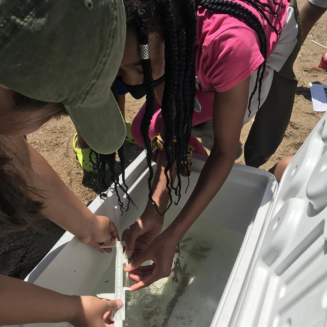 USA Blue Schools — National Marine Educators Association