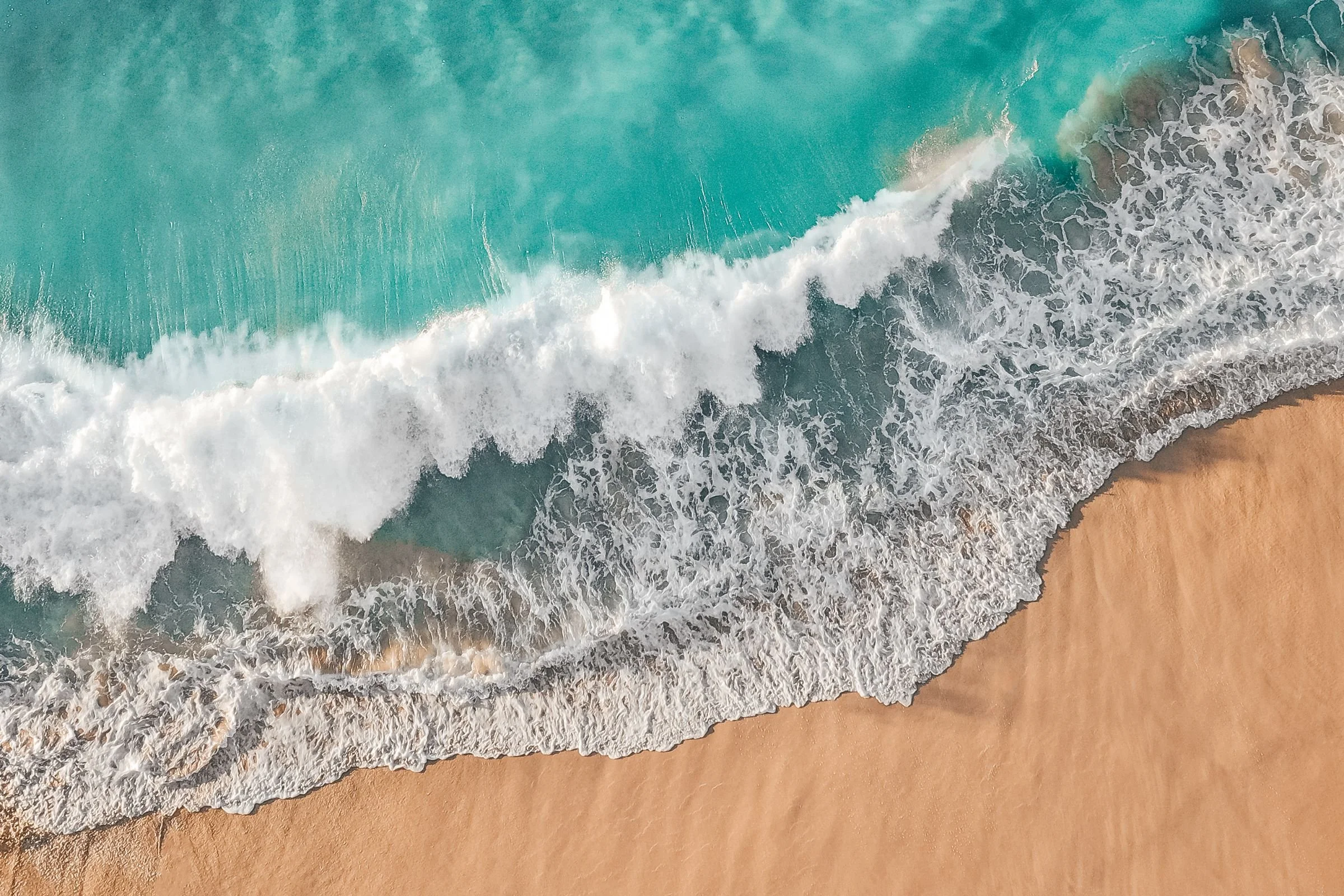 Ocean Decade — National Marine Educators Association