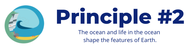 Ocean Literacy Scope and Sequence — National Marine Educators Association