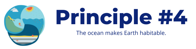 Ocean Literacy Scope and Sequence — National Marine Educators Association