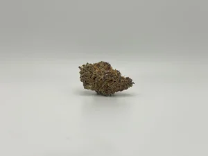 Odo One Kenobi | Strain Info | THCA | Near Me — H4H